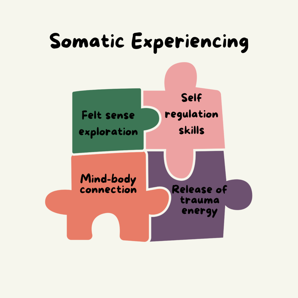 Somatic Experiencing - Somatic Psychotherapy Chicago